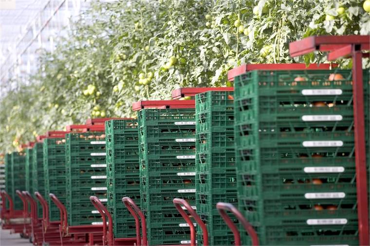 Euro Pool System Case Study | RFID for RTI Management